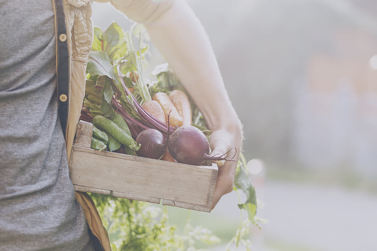 Een regionale maaltijdbox: welke boxen zijn er? - Lokale producten! Een regionale maaltijdbox: welke boxen zijn er? - Lokale producten!